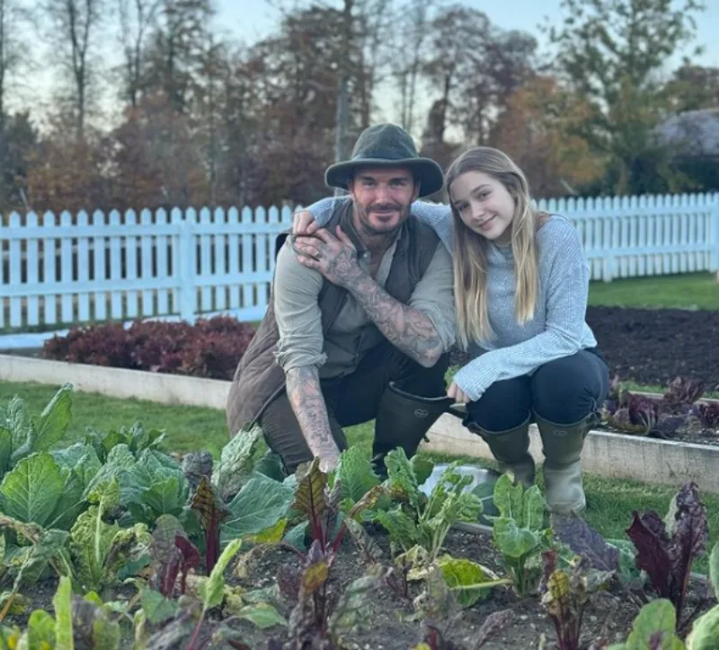 I David Beckham koristi ovu biljku u vrtu: Magnet za pčele koje pomažu ...