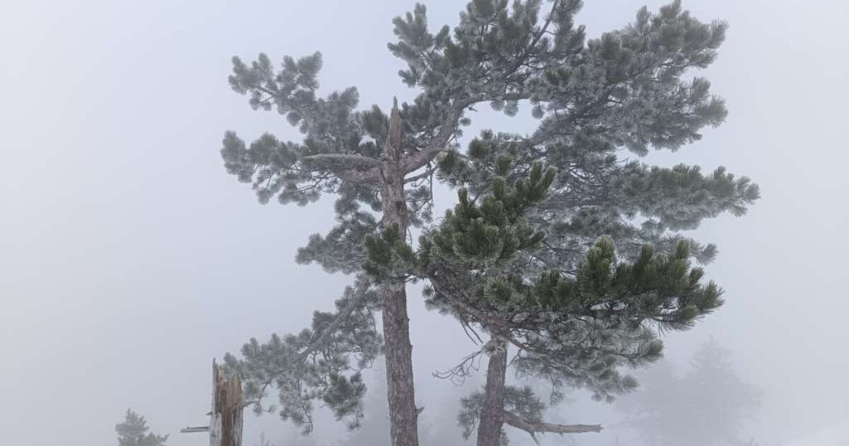 Nakon snijega i kiše, stiže ledeni vikend. Temperature padaju na minus 11